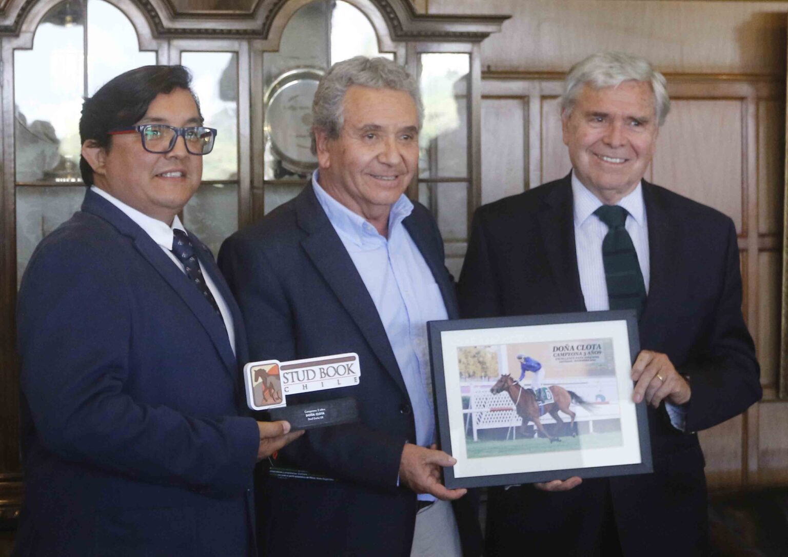 Haras Don AlbertoThe Goat, elegido Caballo del Año por el Stud Book de ...