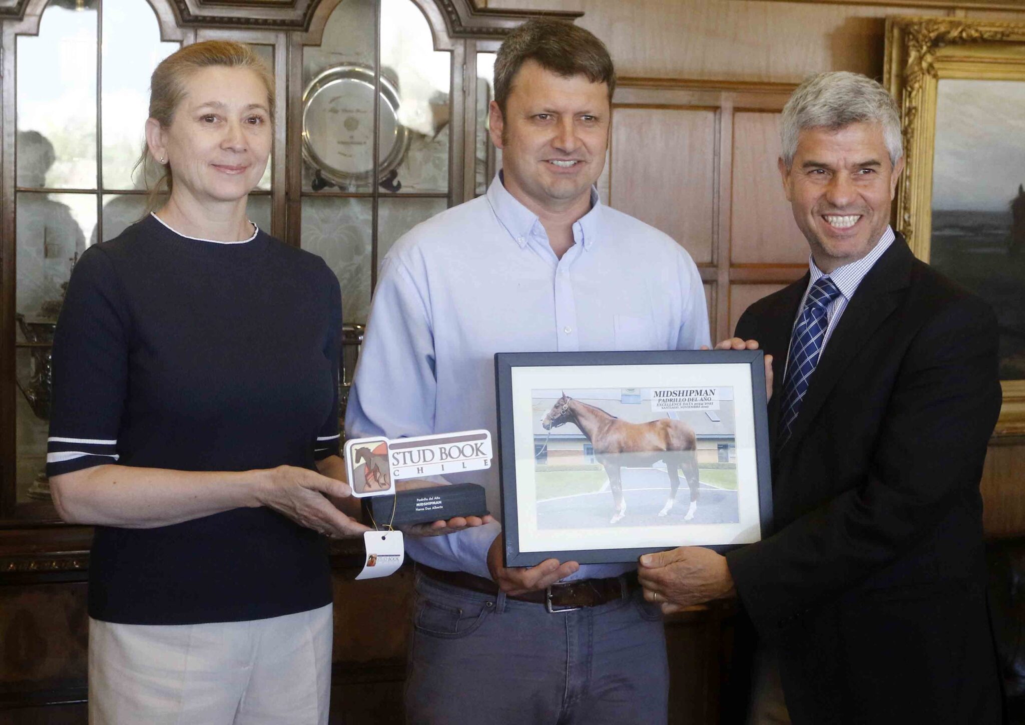 Haras Don AlbertoThe Goat, elegido Caballo del Año por el Stud Book de ...