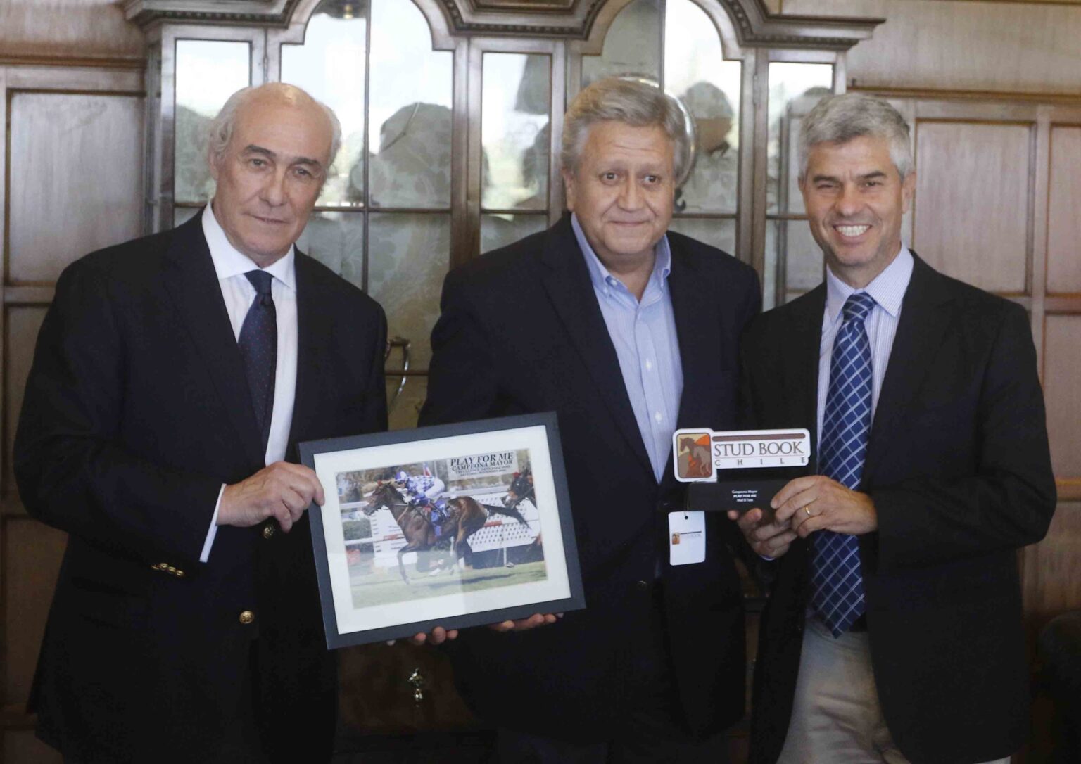Haras Don AlbertoThe Goat, elegido Caballo del Año por el Stud Book de ...