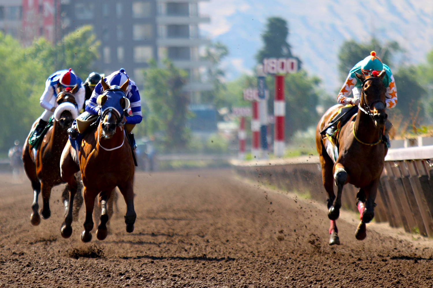 Haras Don AlbertoUp And Flight y Apolo Rey protagonizaron vibrante ...